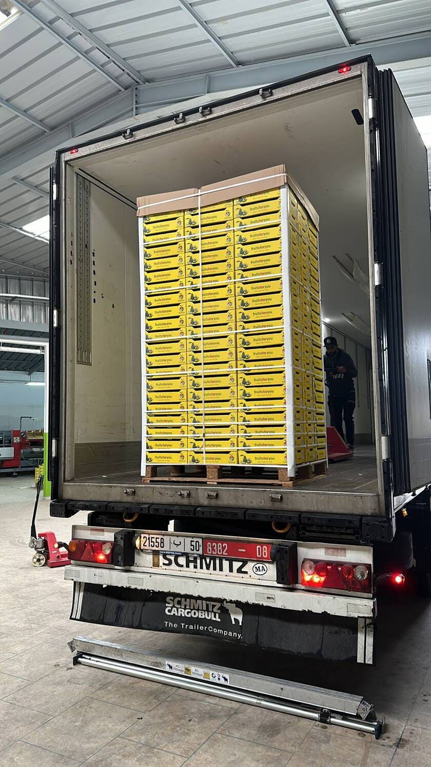 Efficient Export Services & Logistics: Ensuring Freshness from Farm to ...